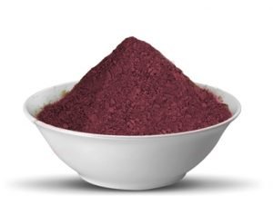 Hibiscus Powder Manufacturer and Wholesale Exporter Worldwide