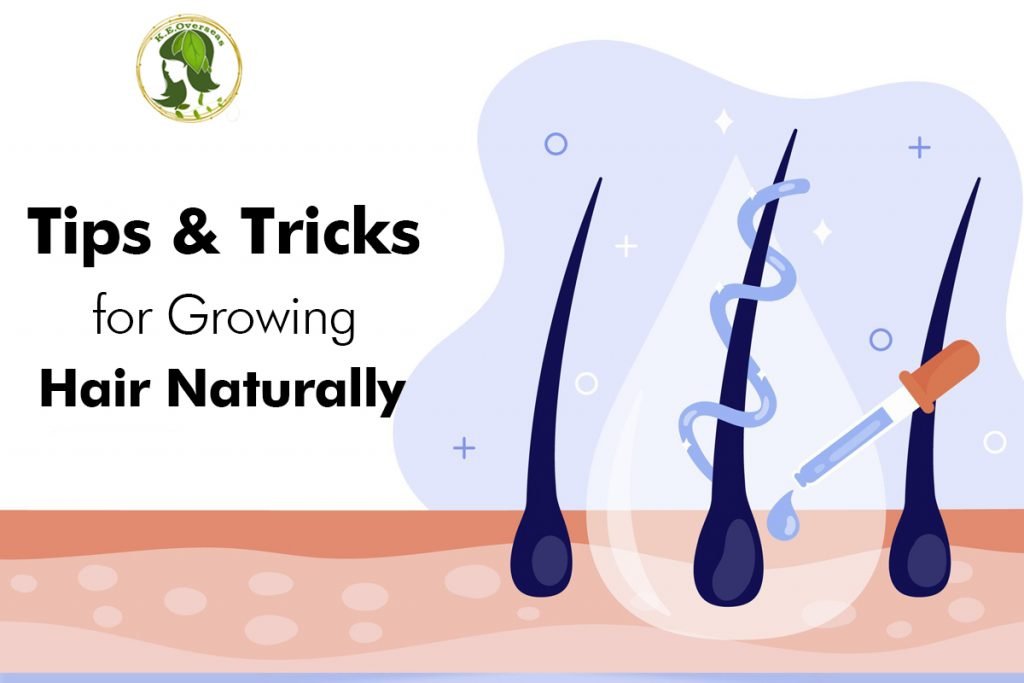 Tips & Tricks for Growing Hair Naturally - Kirpal Export Overseas